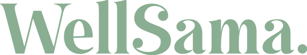 Carnivore Graham Crackers – WellSama