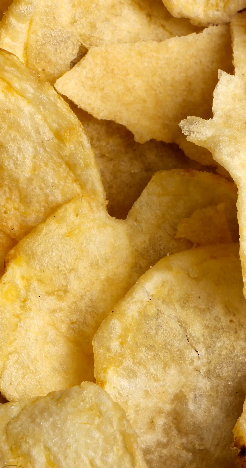 Carnivore Chips – WellSama