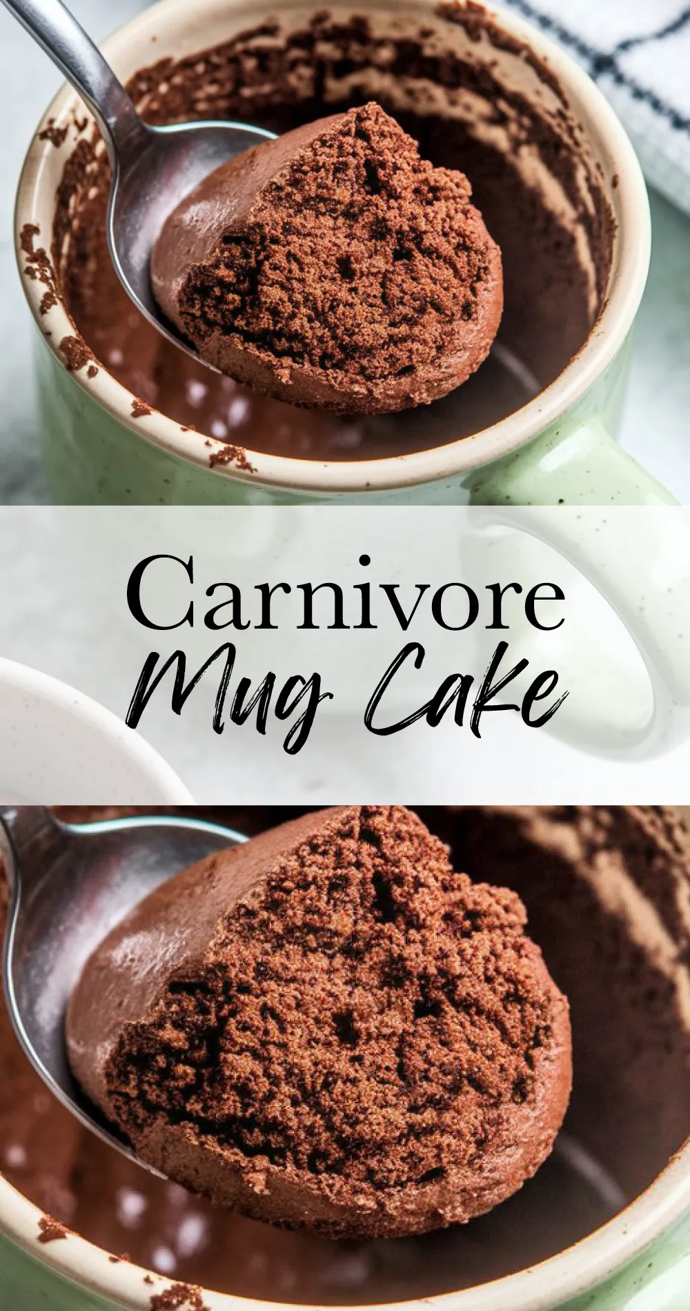 Carnivore Mug Cake – WellSama