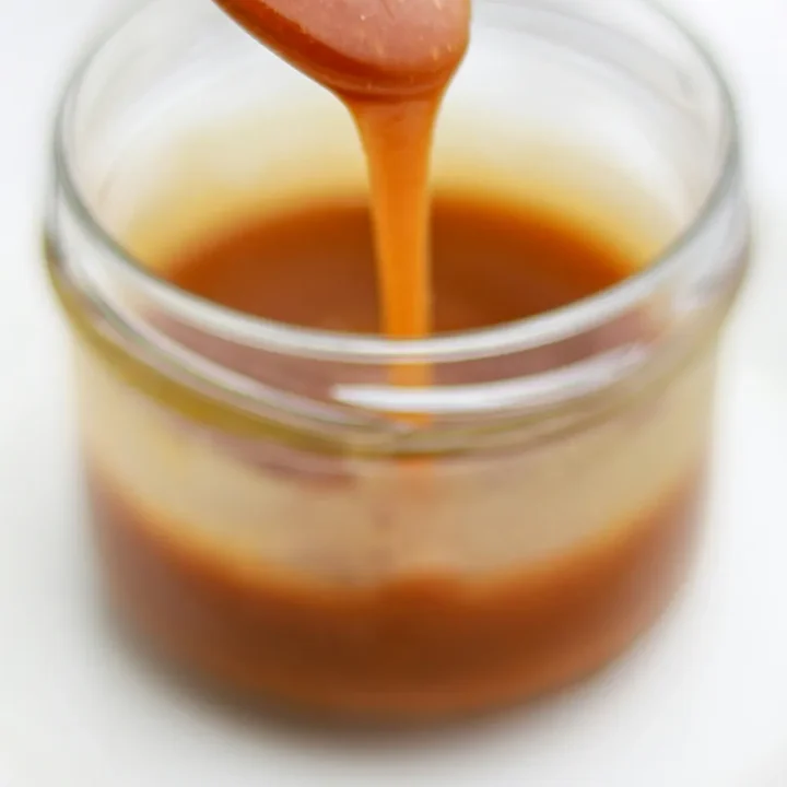 Carnivore Syrup – WellSama