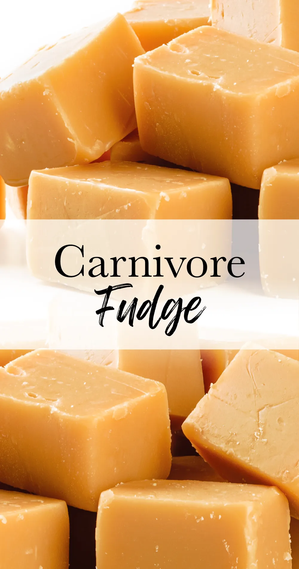 Carnivore Fudge – WellSama