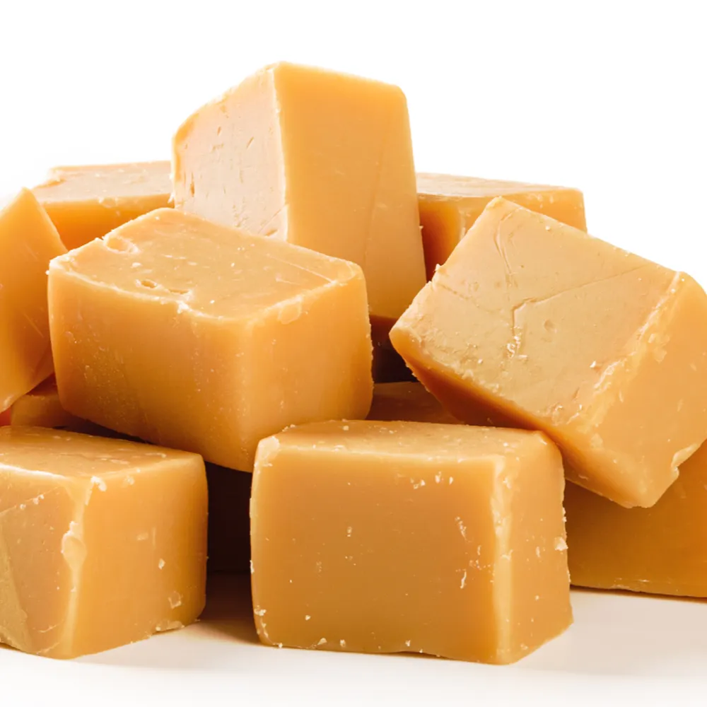 Carnivore Fudge – WellSama
