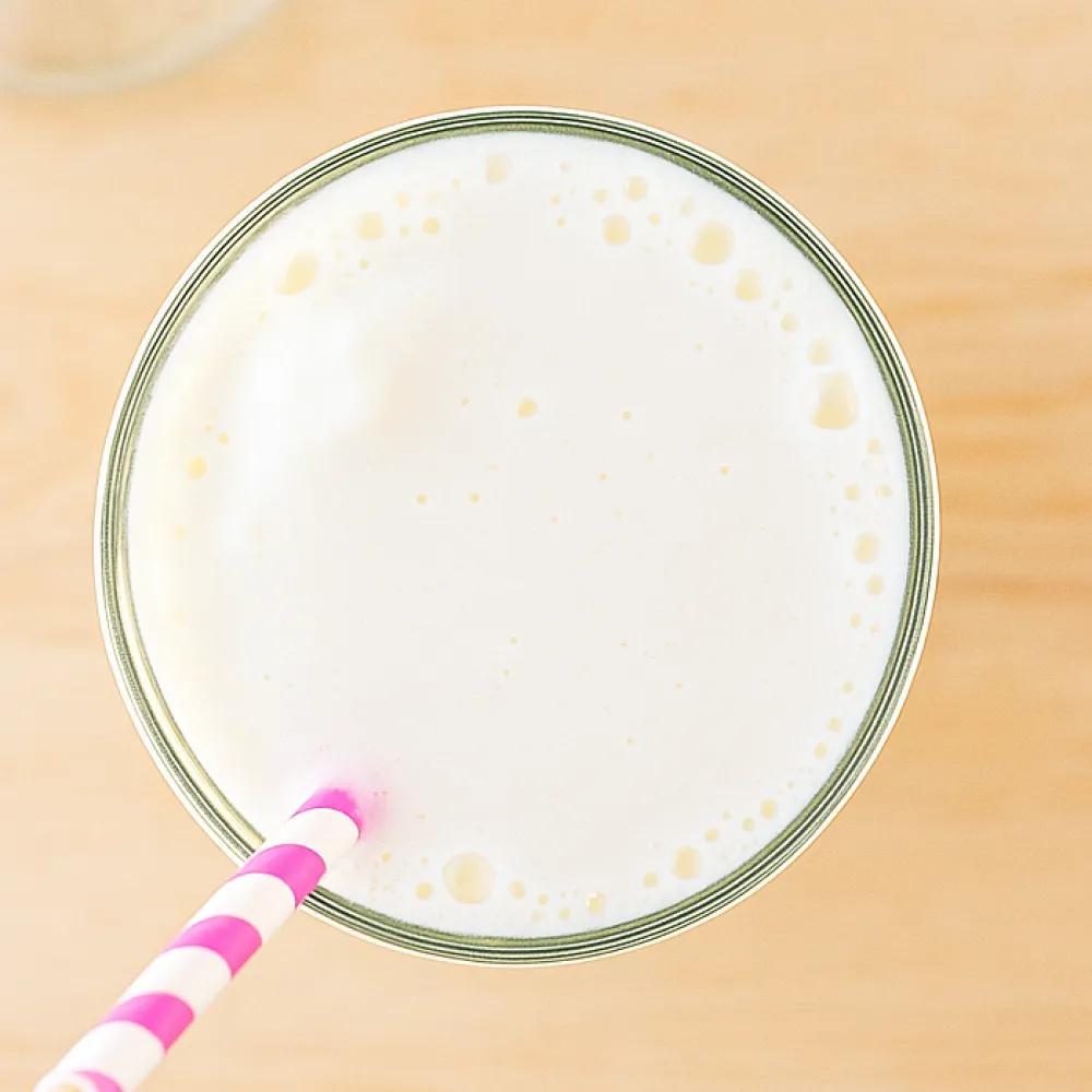 Carnivore Milkshake – WellSama