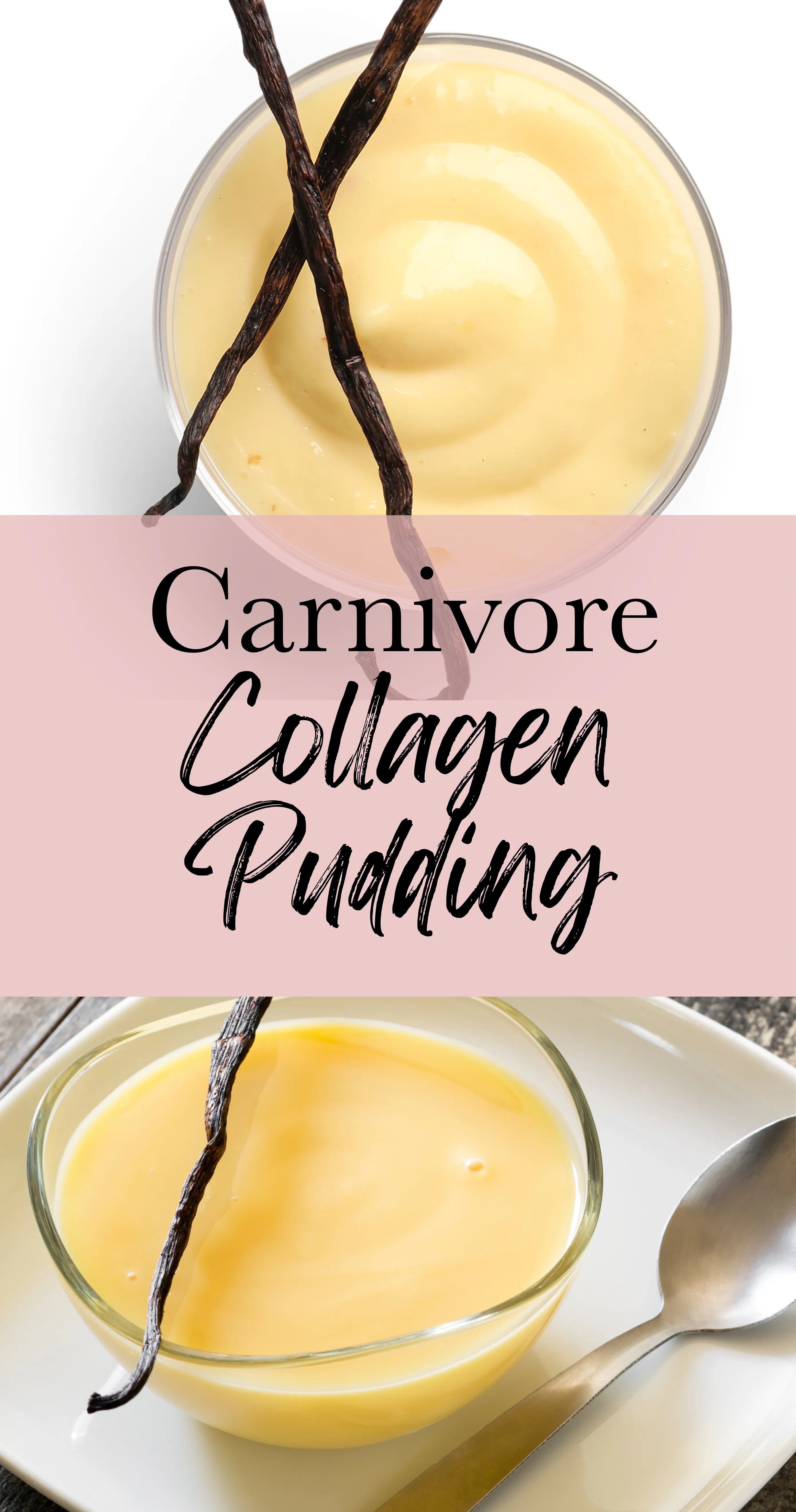 Carnivore Collagen Pudding – WellSama