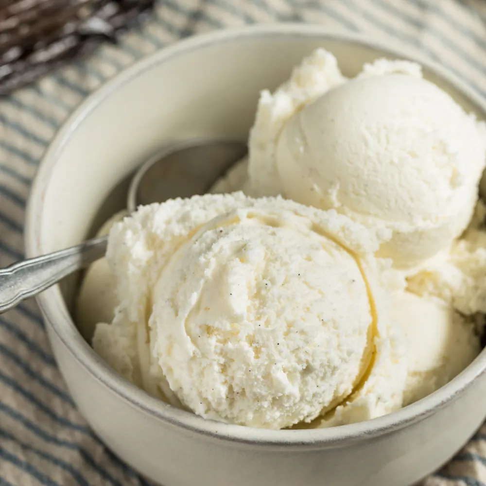 Carnivore Protein Ice Cream – WellSama